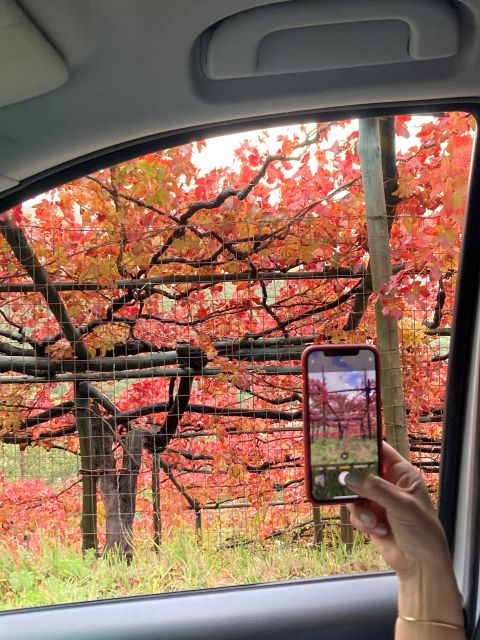 From Naples: Amalfi Coast Tour – Positano, Amalfi & Ravello - Booking and Cancellation Flexibility