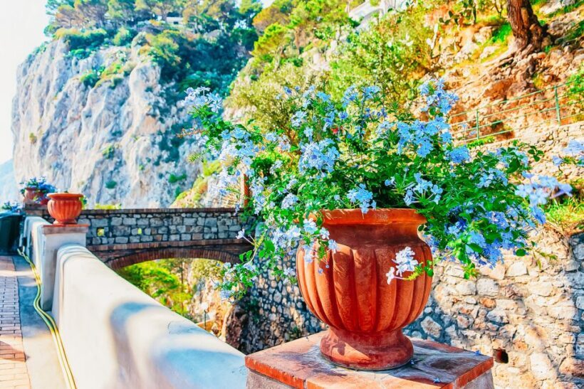 From Naples: Capri and Blue Grotto Day Tour - The Itinerary in Detail