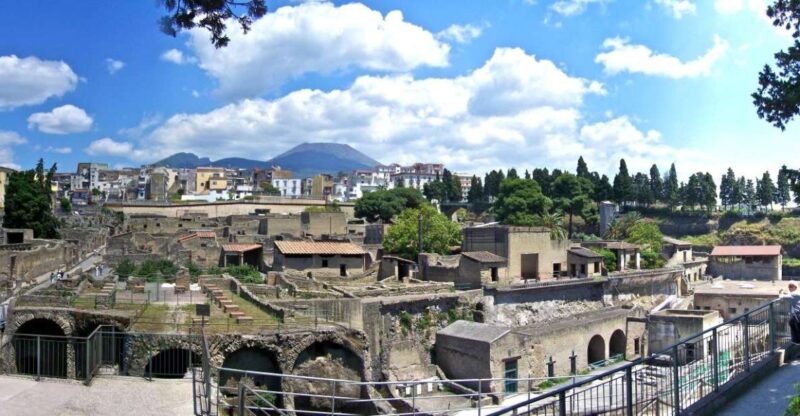 From Naples: Day Trip to Herculaneum with skip the line - Transportation and Logistics