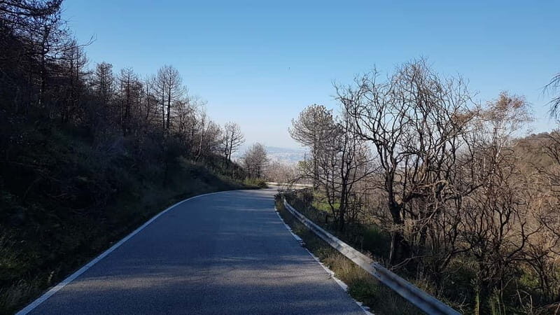 From Naples: Day Trip to Mount Vesuvius - Frequently Asked Questions