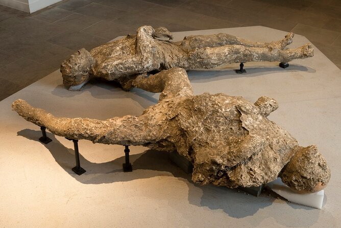 From Naples - Enjoy Pompeii drive tour with official Archaeological Guide - - Practical Details & Tips