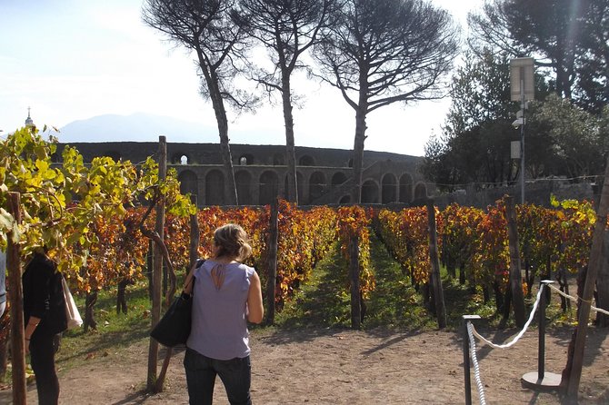 From Naples - Enjoy Pompeii drive tour with official Archaeological Guide - - Who Will Love This Tour?