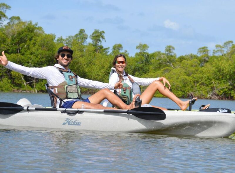 From Naples, FL: Marco Island Mangroves Kayak or Paddle Tour - Final Thoughts