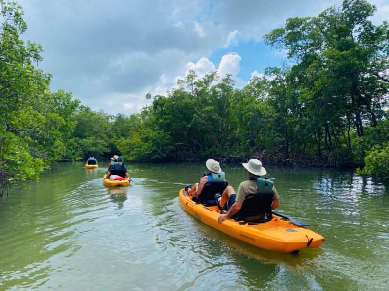 From Naples, FL: Marco Island Mangroves Kayak or Paddle Tour - Who Should Book This Tour?