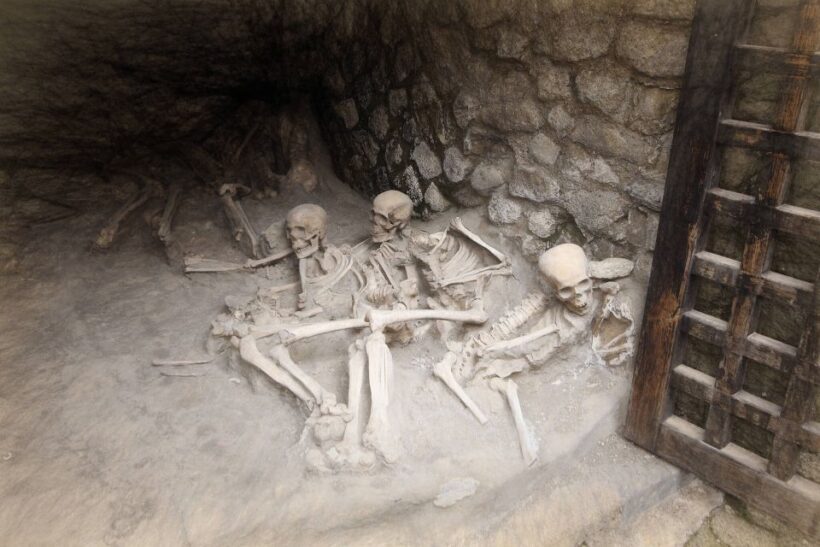 From Naples: Herculaneum Skip-the-Line Guided Tour - The Value of This Tour