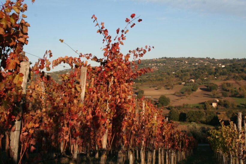 From Naples: Irpinia Wine Tour with 6 Tastings - Is This Tour Right for You?