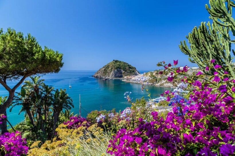 From Naples: Ischia Day Trip with Ferry Tickets and Lunch - Key Points