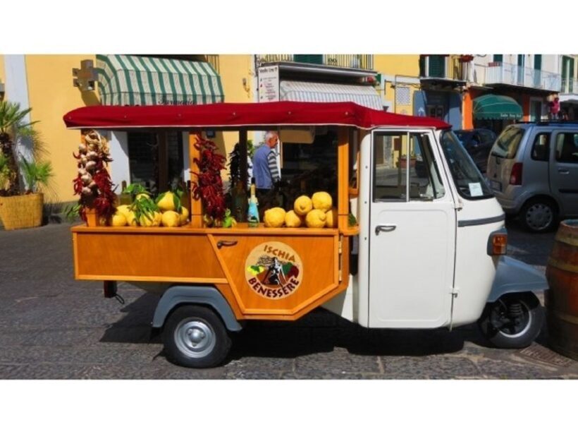 From Naples: Ischia Day Trip with Ferry Tickets and Lunch - Who Will Get the Most Out of This Trip?