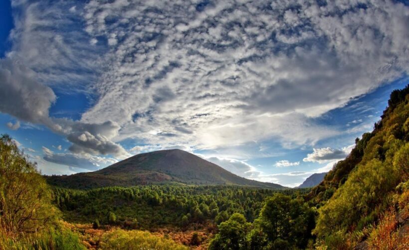 From Naples: Mt. Vesuvius VIP tour/Small group - Exploring the Experience: A Deep Dive into the Tour