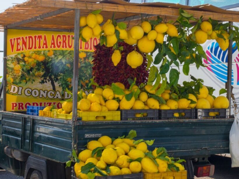 From Naples: One-Way Transfer to Sorrento with Pompeii Tour - An Efficient and Comfortable Way to Travel