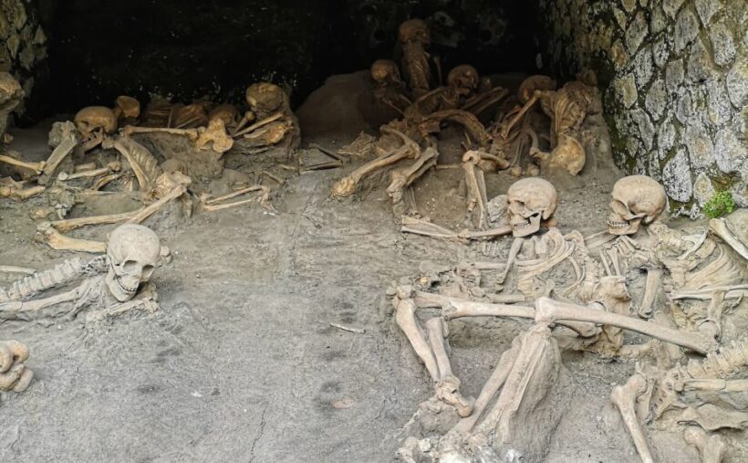 From Naples: Pompeii and Herculaneum Half-Day Private Trip - An Introduction to the Experience