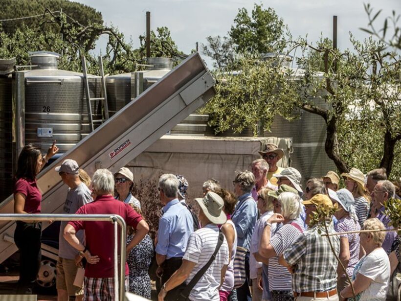 From Naples: Pompeii and Wine Tasting Tour with Lunch - A Deep Dive into the Experience