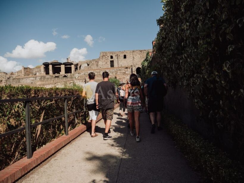 From Naples: Pompeii & Herculaneum with Archaeologist Guide - The Practicalities of the Tour
