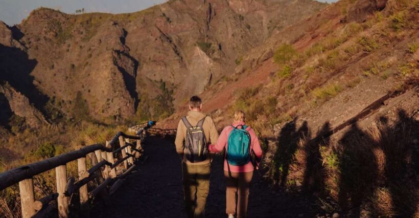 From Naples: Pompeii & Mount Vesuvius Full-Day Private Tour - A Detailed Look at the Experience