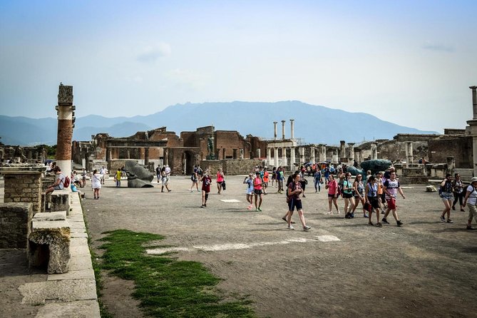 From Naples: Pompeii private tour with lunch at the slopes of Mt Vesuvius - Key Points