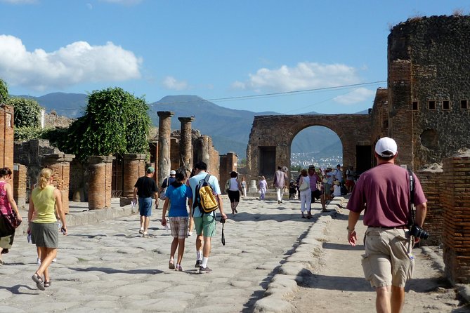 From Naples: Pompeii Shared Tour With Guide and Tickets Included - Customer Reviews and Experiences