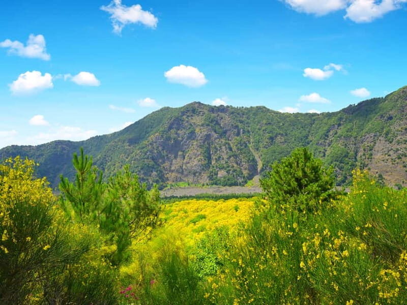 From Naples: Vesuvius Easy Tour - The Experience from the Traveler Perspective
