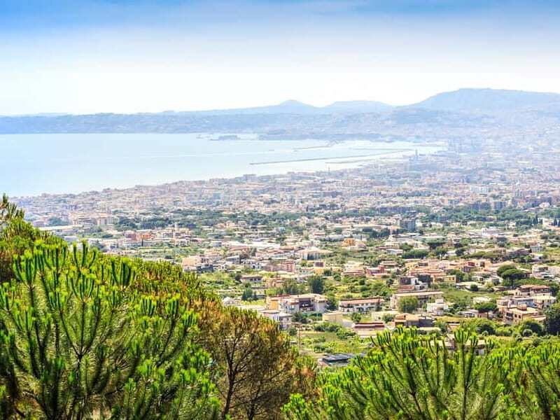From Naples: Vesuvius Easy Tour - Who Should Consider This Tour?