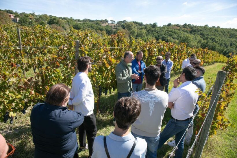 From Naples: wine experience and visit of Fontanarosa - Strolling Through Fontanarosa