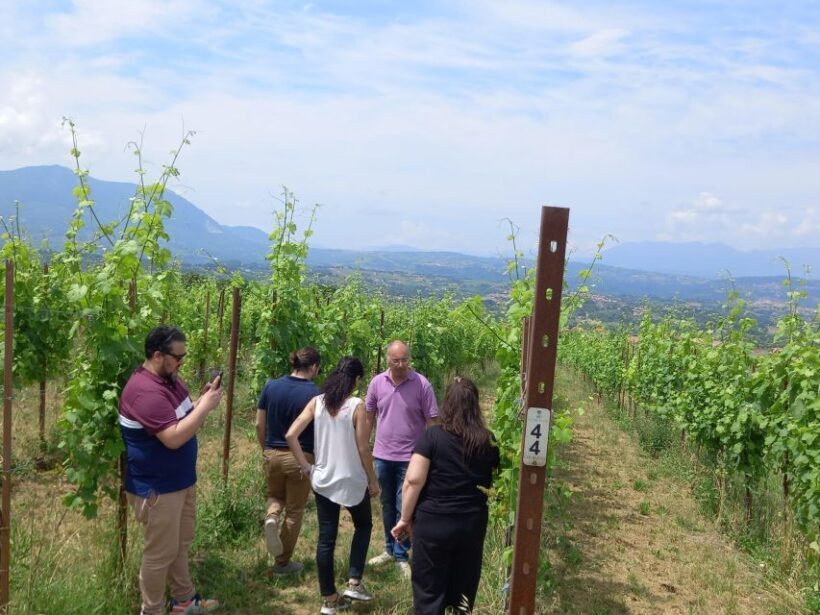 From Naples: wine experience and visit of Fontanarosa - Practicalities and Logistics
