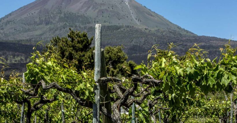From Naples: Wine Tasting Tour on Vesuvius Slopes with Lunch - Discovering the Vesuvius Slopes: An In-Depth Review