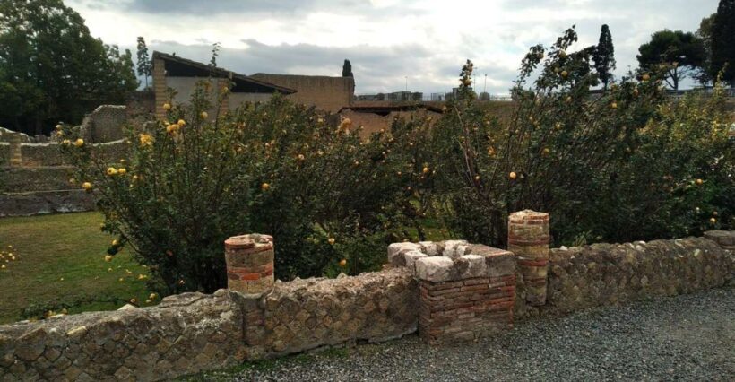 From Naples with 2hr stop at Herculaneum site and Back - Key Points
