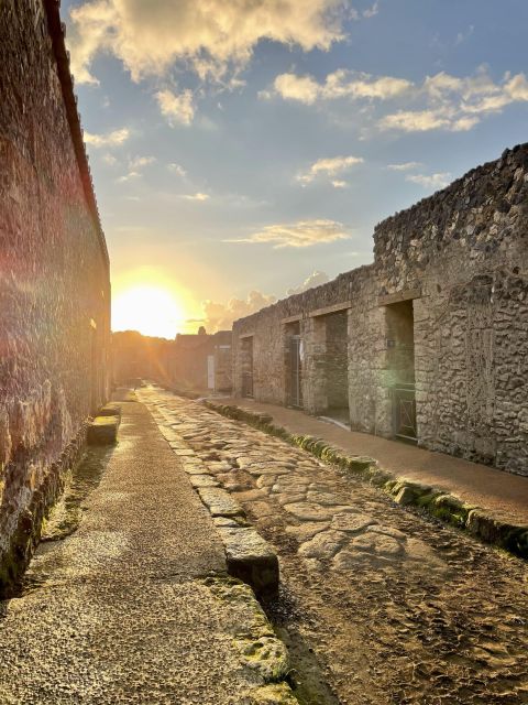 From Napoli: Guided Tour of Pompeii With Entry Ticket - Highlights of the Tour