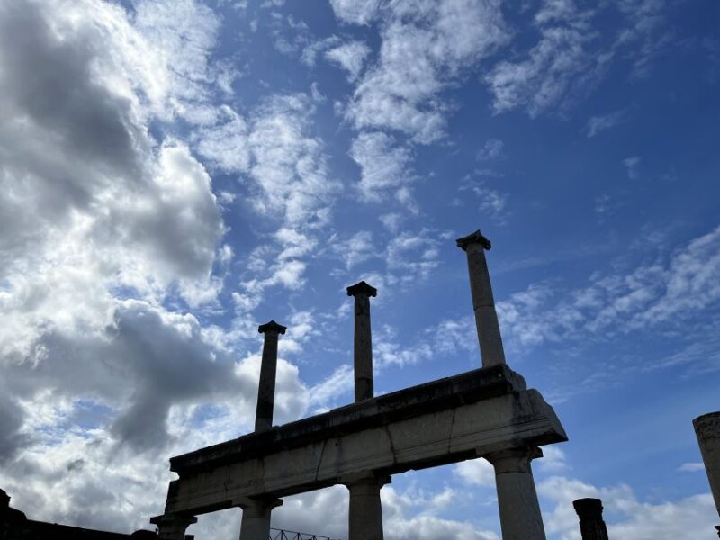 From Napoli: Guided Tour of Pompeii With Entry Ticket - Inclusions and Exclusions