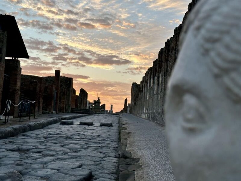 From Napoli: Guided Tour of Pompeii With Entry Ticket - Important Information