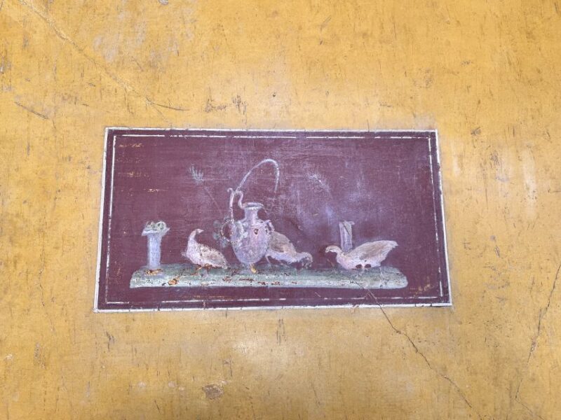 From Napoli: Guided Tour of Pompeii With Entry Ticket - What to Bring and Restrictions