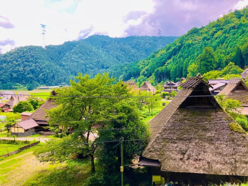 From Nara: Kyoto Thatched Roof Village Private Car Tour - Pickup and Transportation