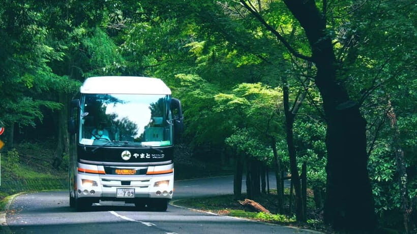 From Nara:Half-Day Bus Tour to UNESCO Heritage&Mt. Wakakusa - The Experience in Detail
