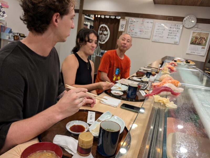 From Narita Airport: Private Layover or Transit Guided Tour - Important Tips