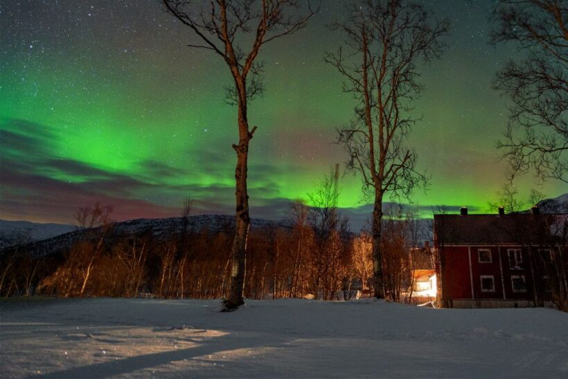 From Narvik: The Northern Lights Arctic Train Guided Tour - Authentic Experiences and Traveler Feedback