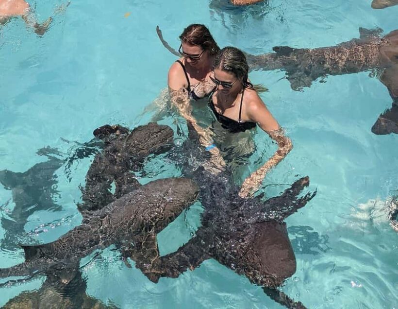 From Nassau: Exuma Powerboat Tour and Pig Beach with Lunch - Practical Details and Considerations