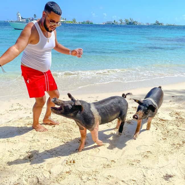 From Nassau: Swim with Pigs Safari - An Overview of the Bahamas Swim with Pigs Safari