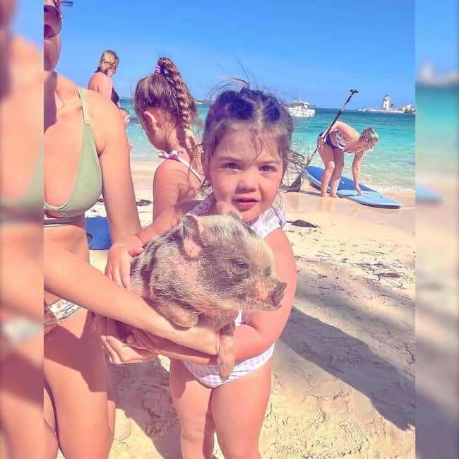 From Nassau: Swim with Pigs Safari - Practical Considerations