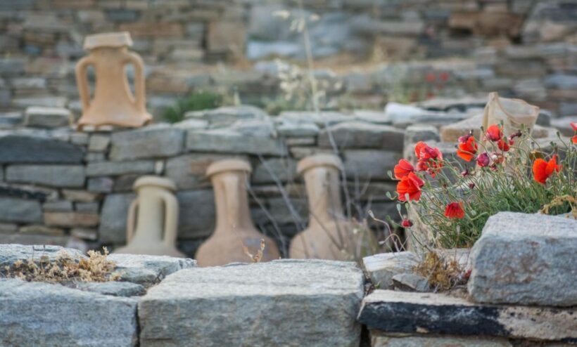 From Naxos: Delos and Mykonos Day Trip with Licensed Guide - Final Thoughts