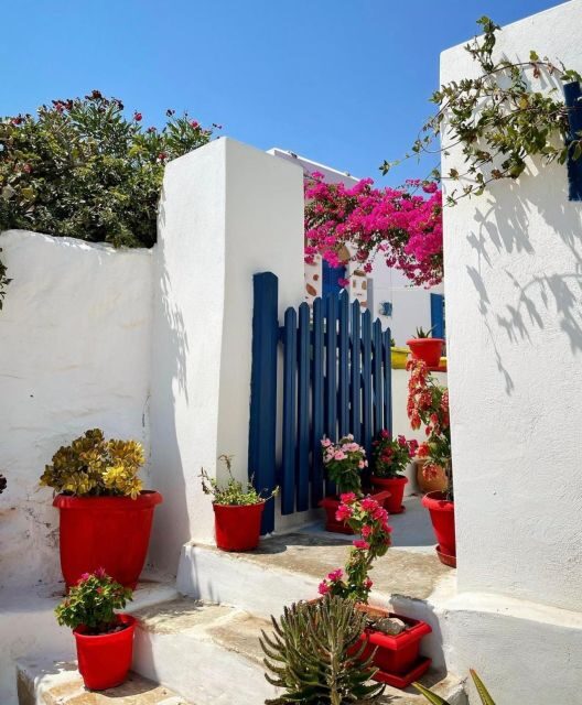 From Naxos: Iraklia and Koufonissia Full-Day Boat Trip - Who Should Consider This Tour?