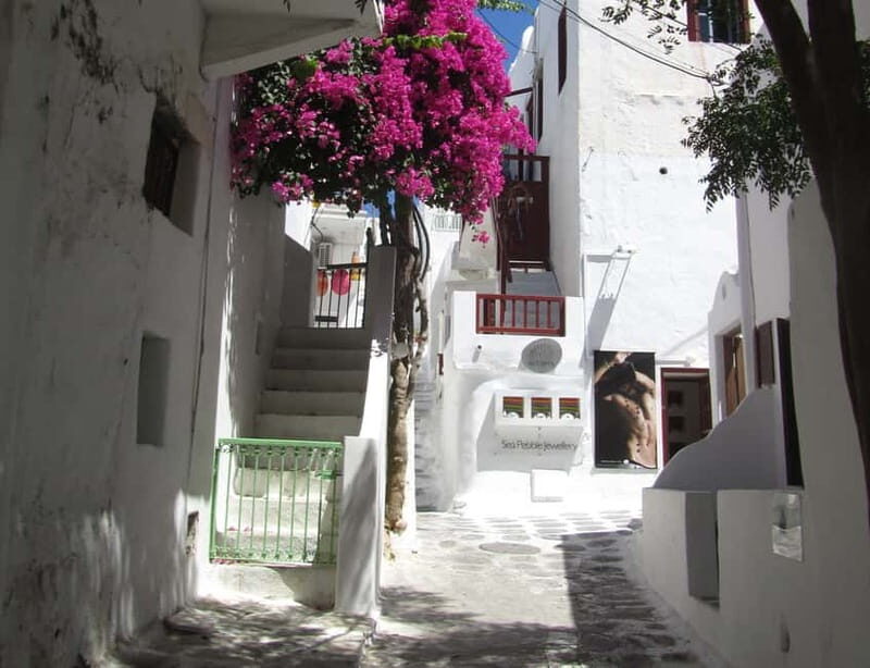 From Naxos: Round day trip to Mykonos Island - Optional Activities During Free Time