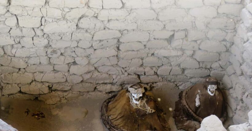 From Nazca: Chauchilla Cemetery Tour and Artisans Workshop - Discovering the Chauchilla Cemetery