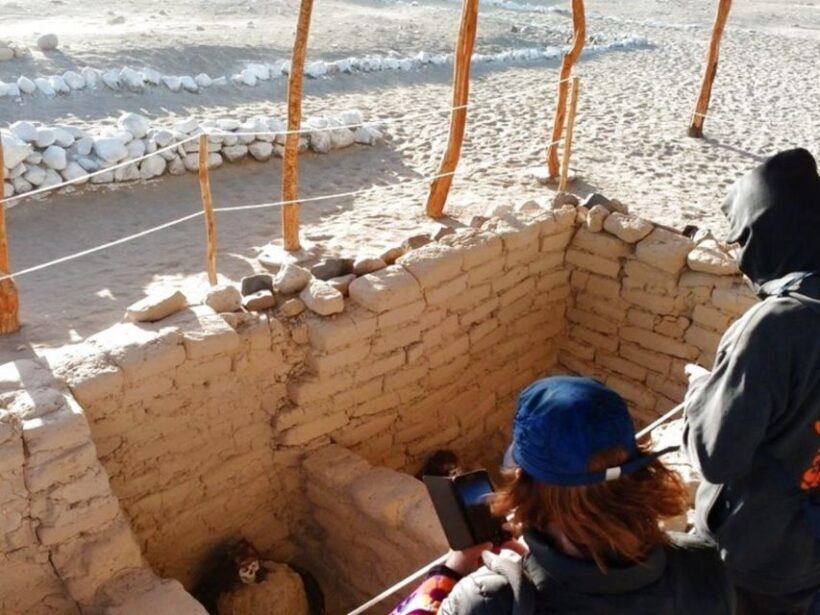 From Nazca: Chauchilla Cemetery Tour - Discovering the Chauchilla Cemetery: An Overview