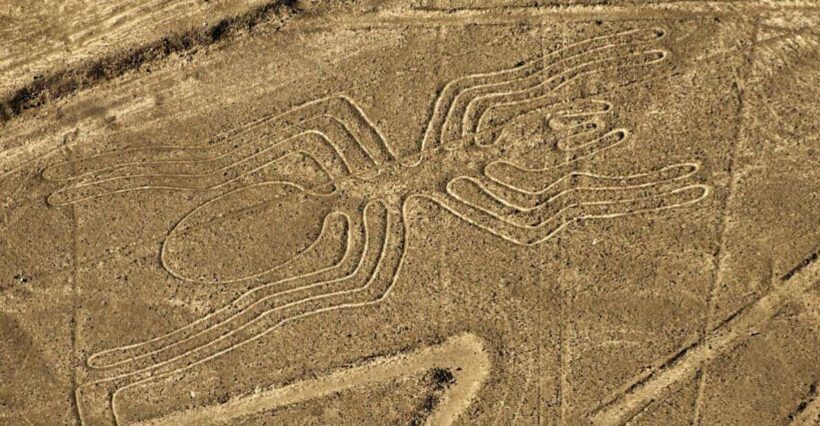 From Nazca: Small plane flight over the Nazca Lines - Highlights of the Flight Experience