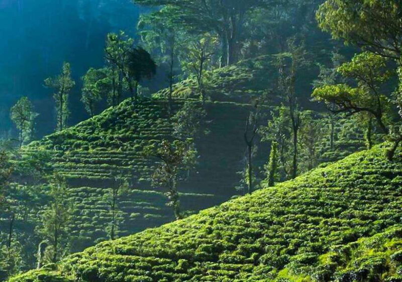 From Negombo: 2-Day Nuwara Eliya, Kandy, & Waterfalls Tour - Price, Value, and Practicalities
