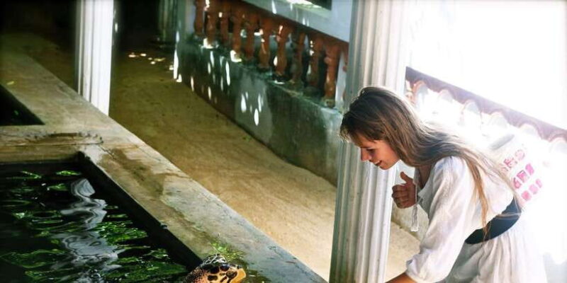 From Negombo: Bentota Full-Day Tour - Introduction to the Bentota Full-Day Tour