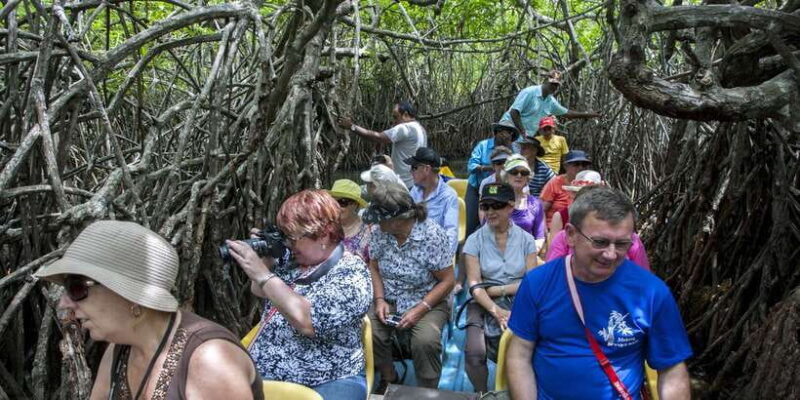 From Negombo: Bentota Full-Day Tour - What Makes This Tour Stand Out