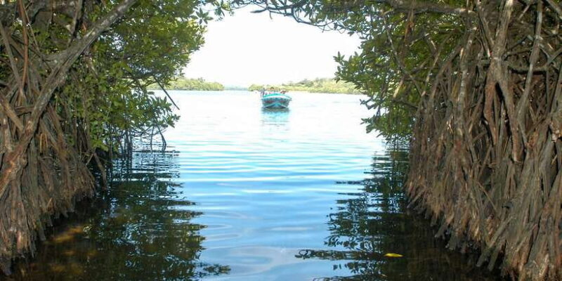 From Negombo: Bentota Full-Day Tour - Itinerary Deep Dive