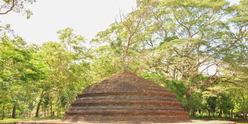 From Negombo: Dambadeniya, Yapahuwa, and Panduwasnuwara Tour - Key Points