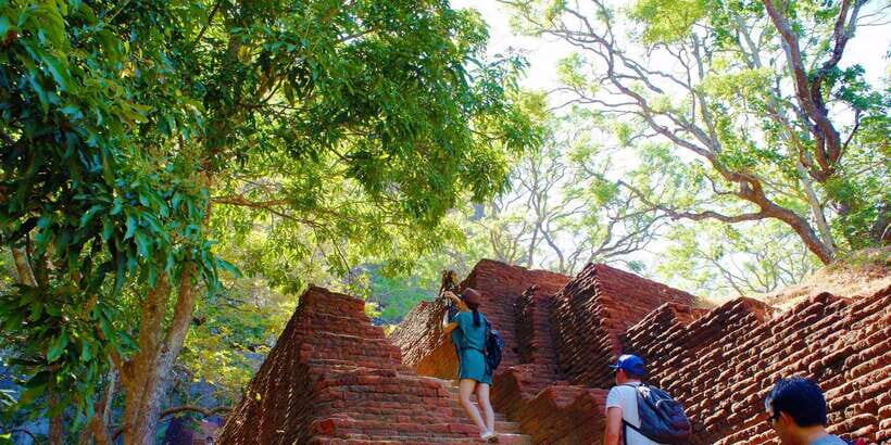 From Negombo: Sigiriya and Dambulla Day Trip and Safari - The Itinerary Breakdown: What to Expect