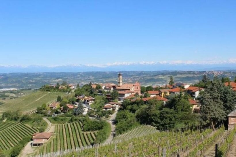 From Neive: Guided E-Bike Tour to Barbaresco and Treiso - An In-Depth Look at the Neive E-Bike Tour
